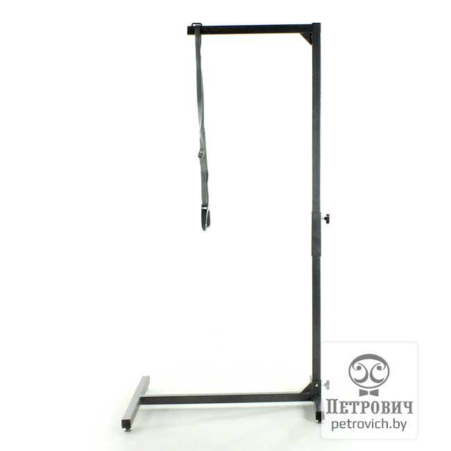 Прокат дуги для подтягивания для лежачего больного