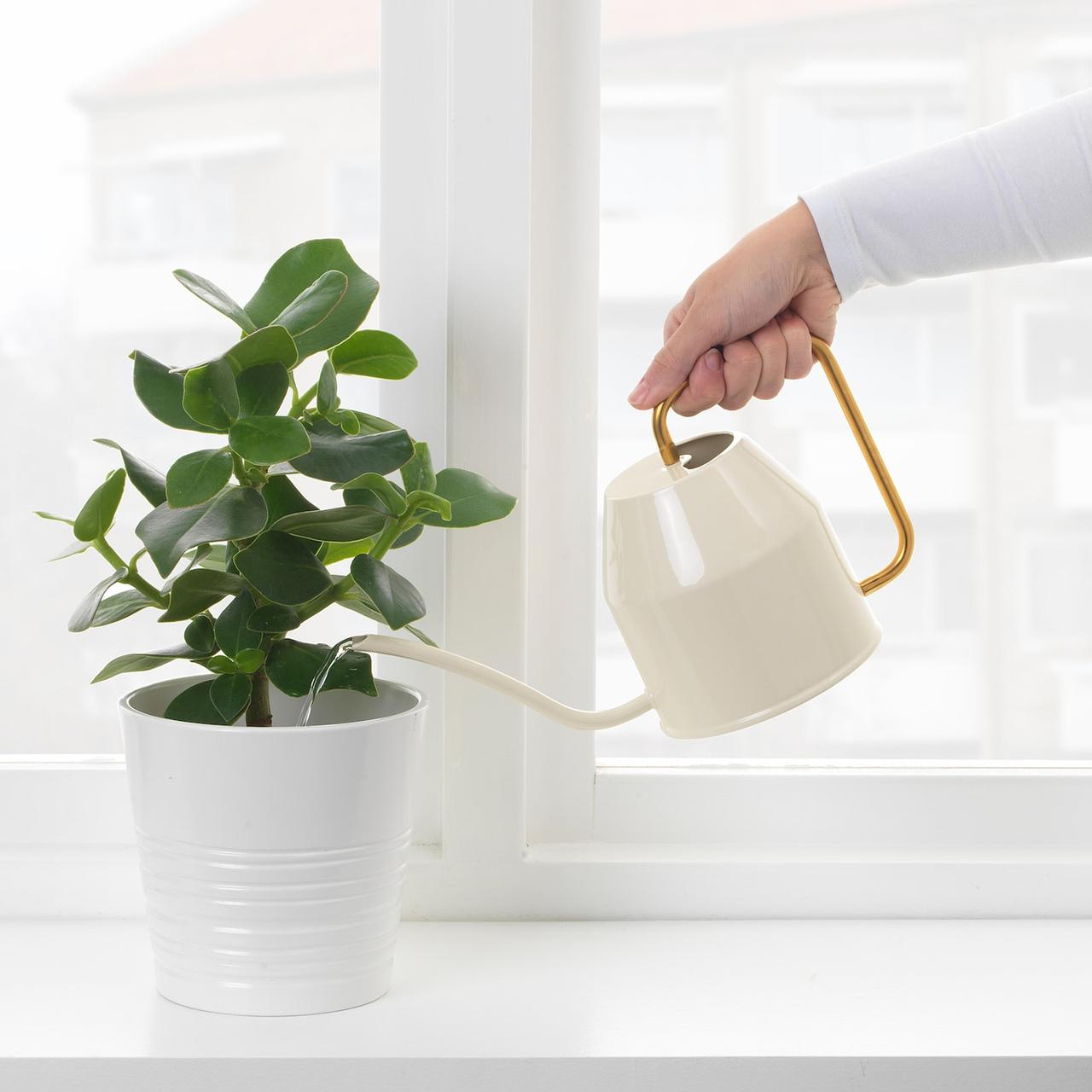 IKEA/ ВАТТЕНКРАССЕ Лейка, слоновая кость, золотой0.9 л: продажа, цена в ...
