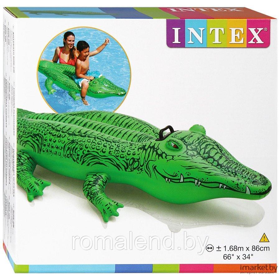 Надувной плотик INTEX с ручкой, "Крокодил", от 3 лет, (168х86см). арт ...