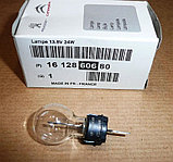 Автомобильная лампа HP24W 12V 24W 1612860680: продажа, цена в Минске ...