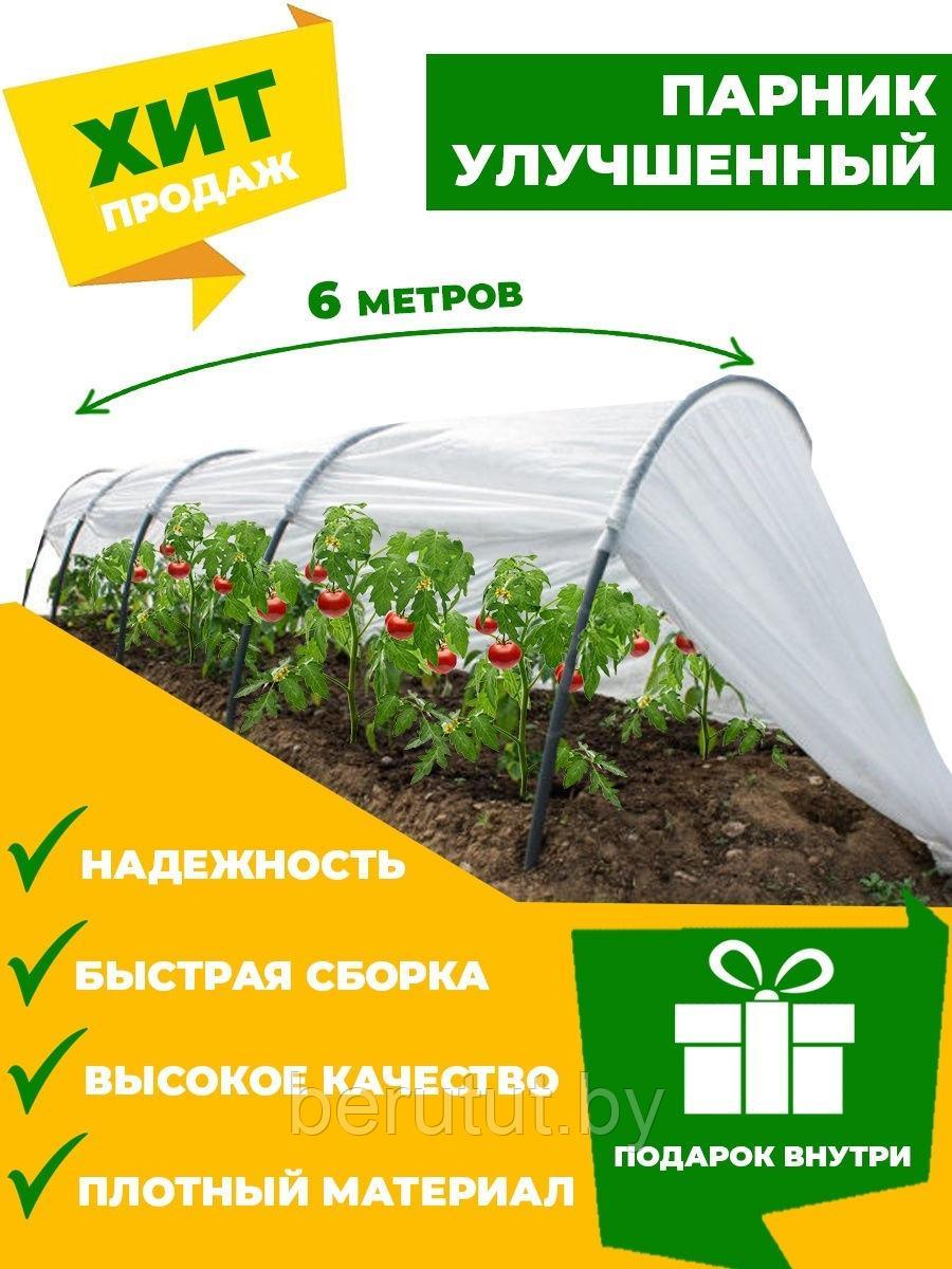 Теплица, дачный парник "Фазенда люкс" 6 м. (дуги + укрывной материал ...