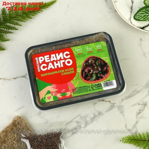 Набор для выращивания микрозелени "Красный редис":лоток,семена (3 шт ...