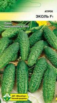 Огурец Эколь F1 (ID#31497806), цена: 2.30 руб., купить на Deal.by