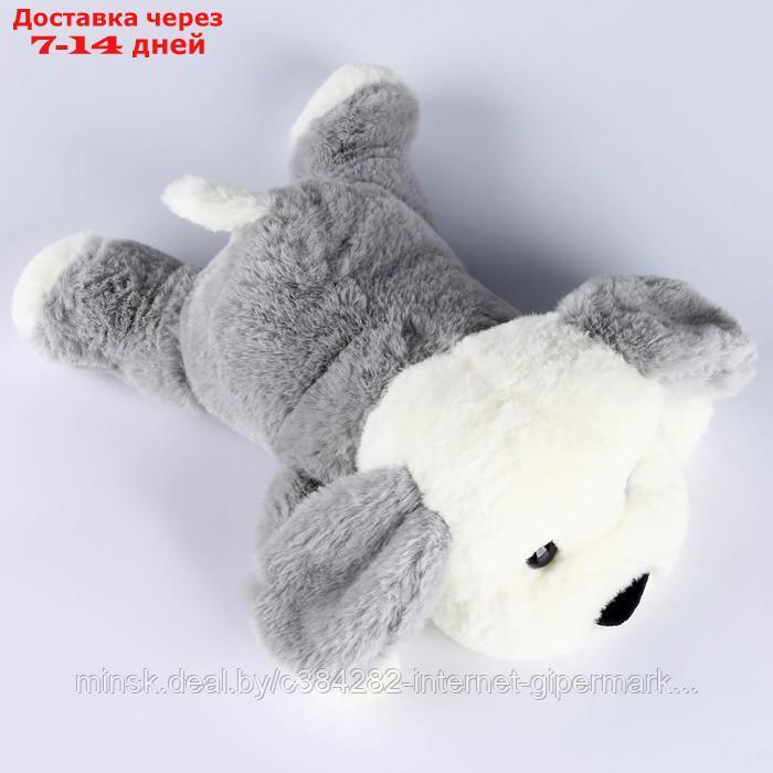 Мягкая игрушка "Собачка", 22 см, цвет серый (ID#220459730), цена: 34 ...