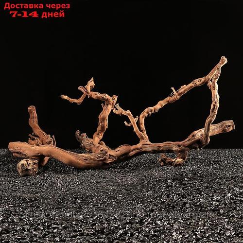 Коряга для аквариума "Лоза виноградная", 60 - 70 см (ID#226888104 ...