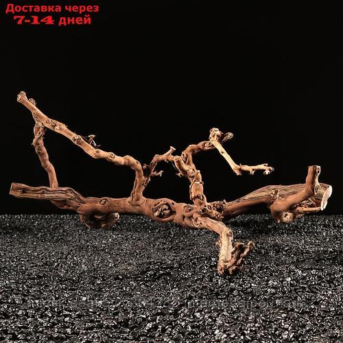 Коряга для аквариума "Лоза виноградная", 60 - 70 см (ID#226888104 ...