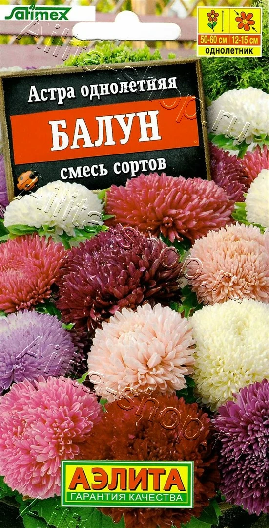 Астра Балун смесь 25шт Аэлита купить в Доме Семян