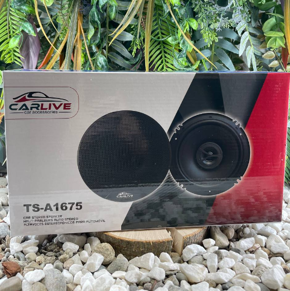 Автомобильные динамики CARLIVE TS-A1675 800 ватт 2-ух полосный (6 дюймов): продажа, цена в ...