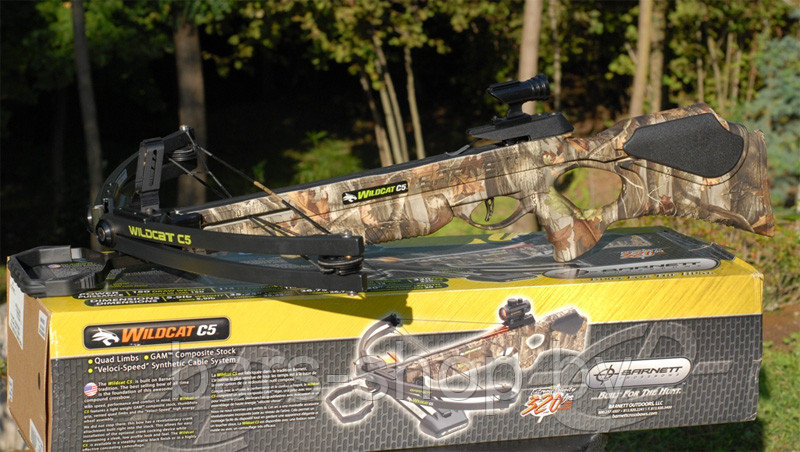 Barnett wildcat c5 store